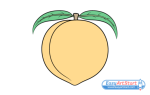 How to Draw a Peach in Six Steps - EasyArtStart