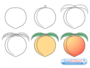 How to Draw a Peach in Six Steps - EasyArtStart