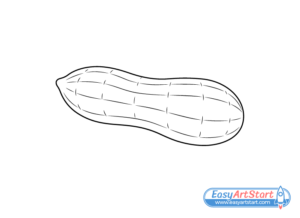 How to Draw a Peanut in 6 Steps - EasyArtStart