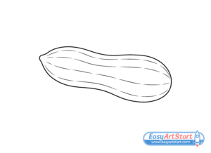 How to Draw a Peanut in 6 Steps - EasyArtStart