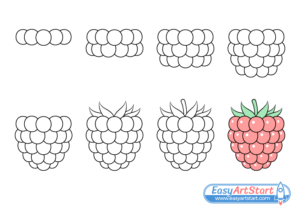 How to Draw a Raspberry in 8 Steps - EasyArtStart