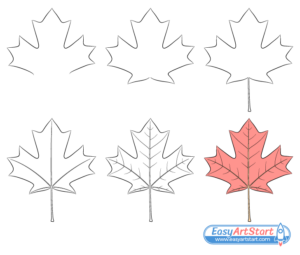 How to Draw a Maple Leaf Step by Step - EasyArtStart