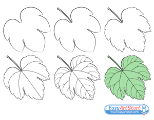 How to Draw Grapes (Step by Step Guide) - EasyArtStart