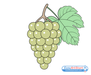 How to Draw Grapes (Step by Step Guide) - EasyArtStart
