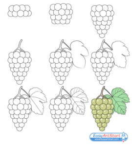 How to Draw Grapes (Step by Step Guide) - EasyArtStart