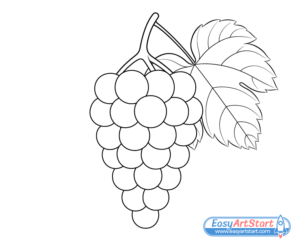 How to Draw Grapes (Step by Step Guide) - EasyArtStart