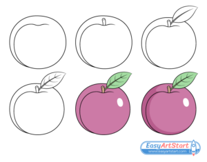 How to Draw a Plum Step by Step - EasyArtStart
